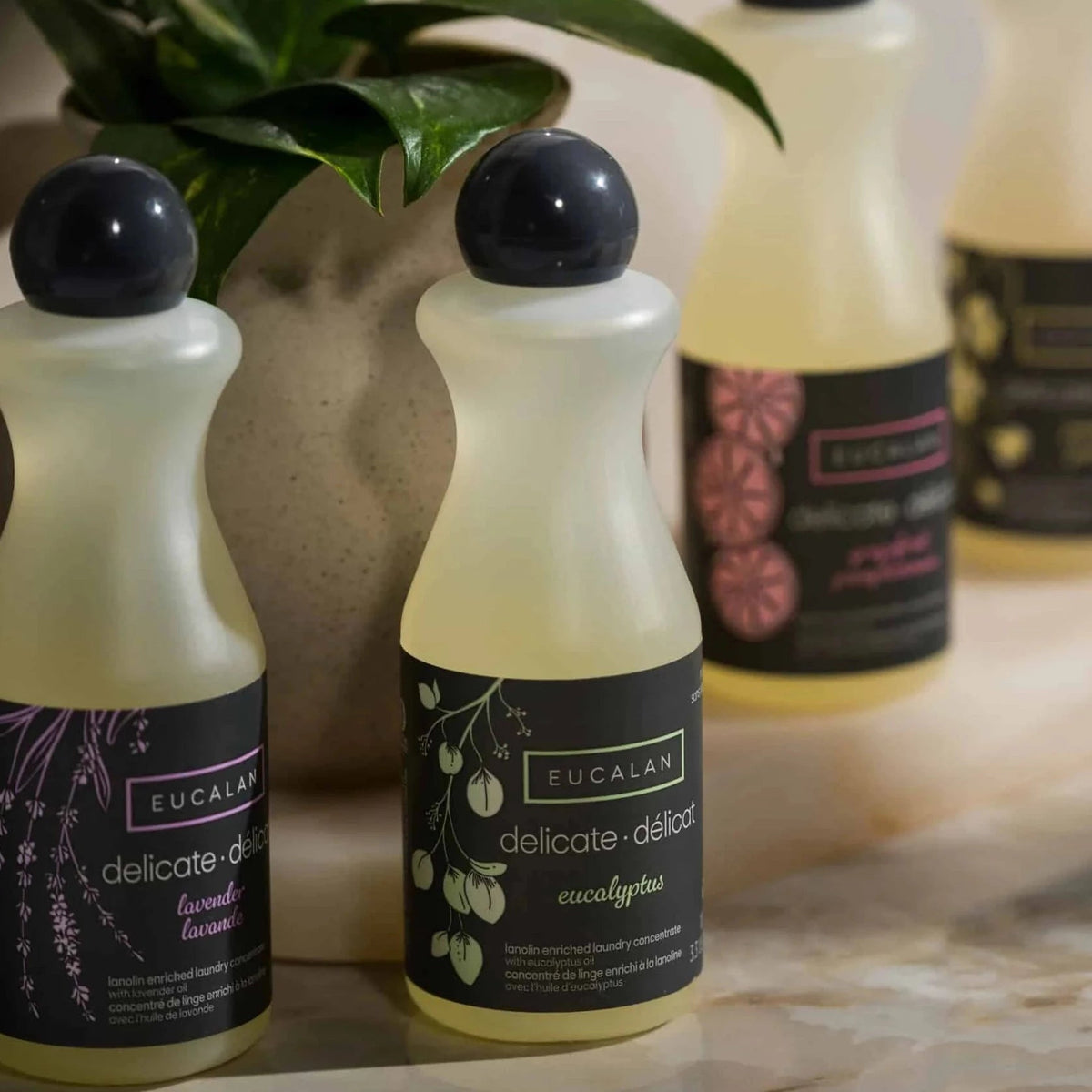 Eucalan Delicate Wash 500 ML - The Little Yarn Store